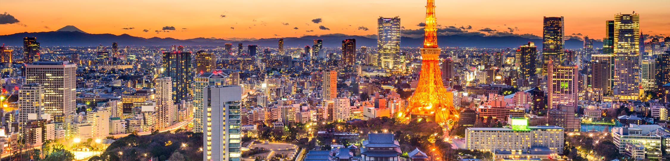 Cheap Flights to Tokyo TYO | Always Save on your Tokyo TYO Flights ...